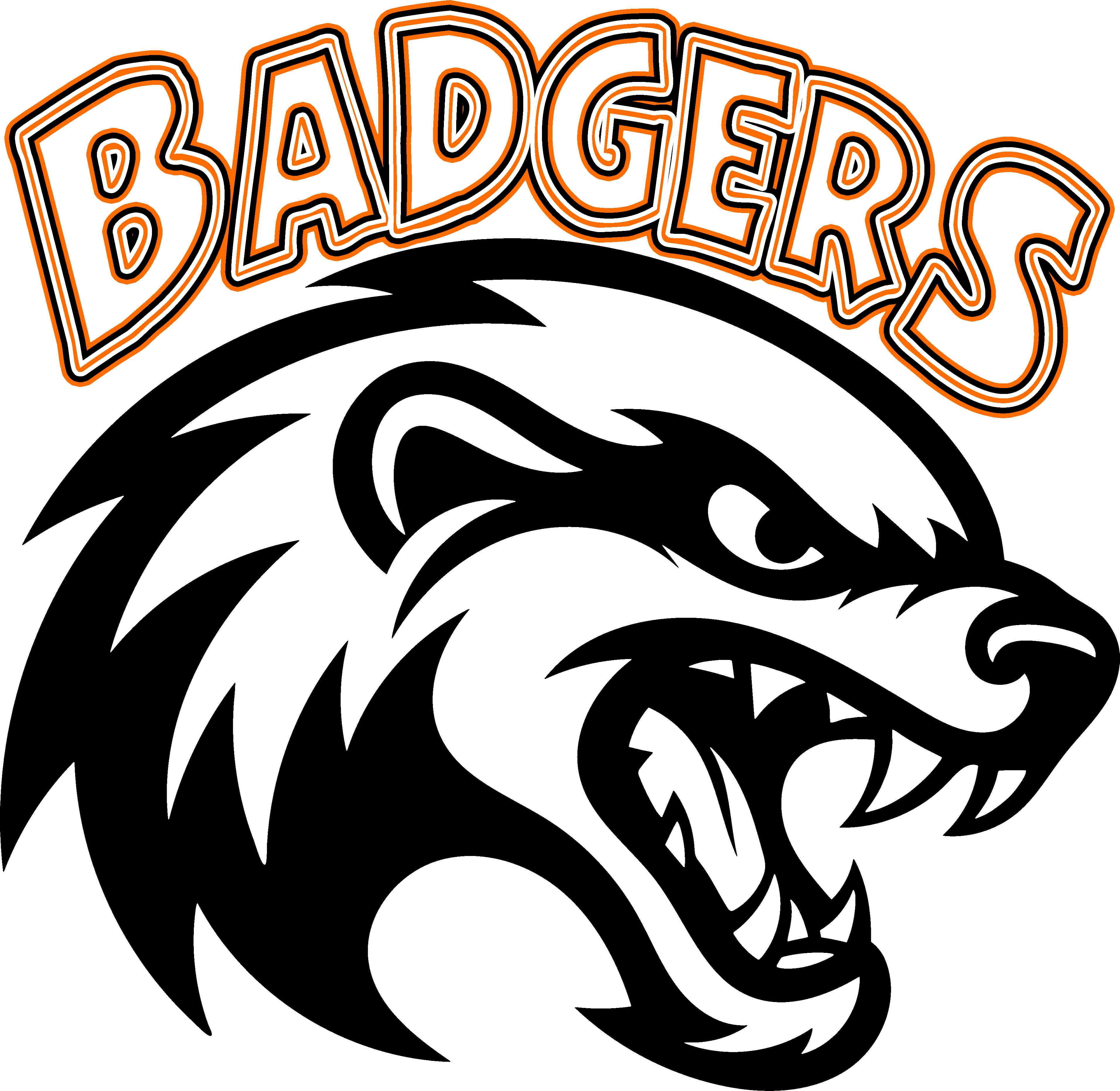 Badgers Mascot Ready to Press Transfer DTF Transfer Sublimation Transf ...